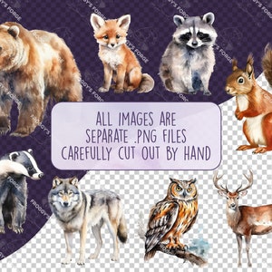 42 Watercolor Woodland Animals Clipart - Bear, Trees, Badgers, Owls ...
