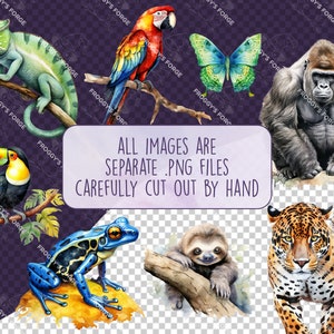 48 Watercolor Rainforest Clipart - Gorillas, Jaguars, Panthers ...