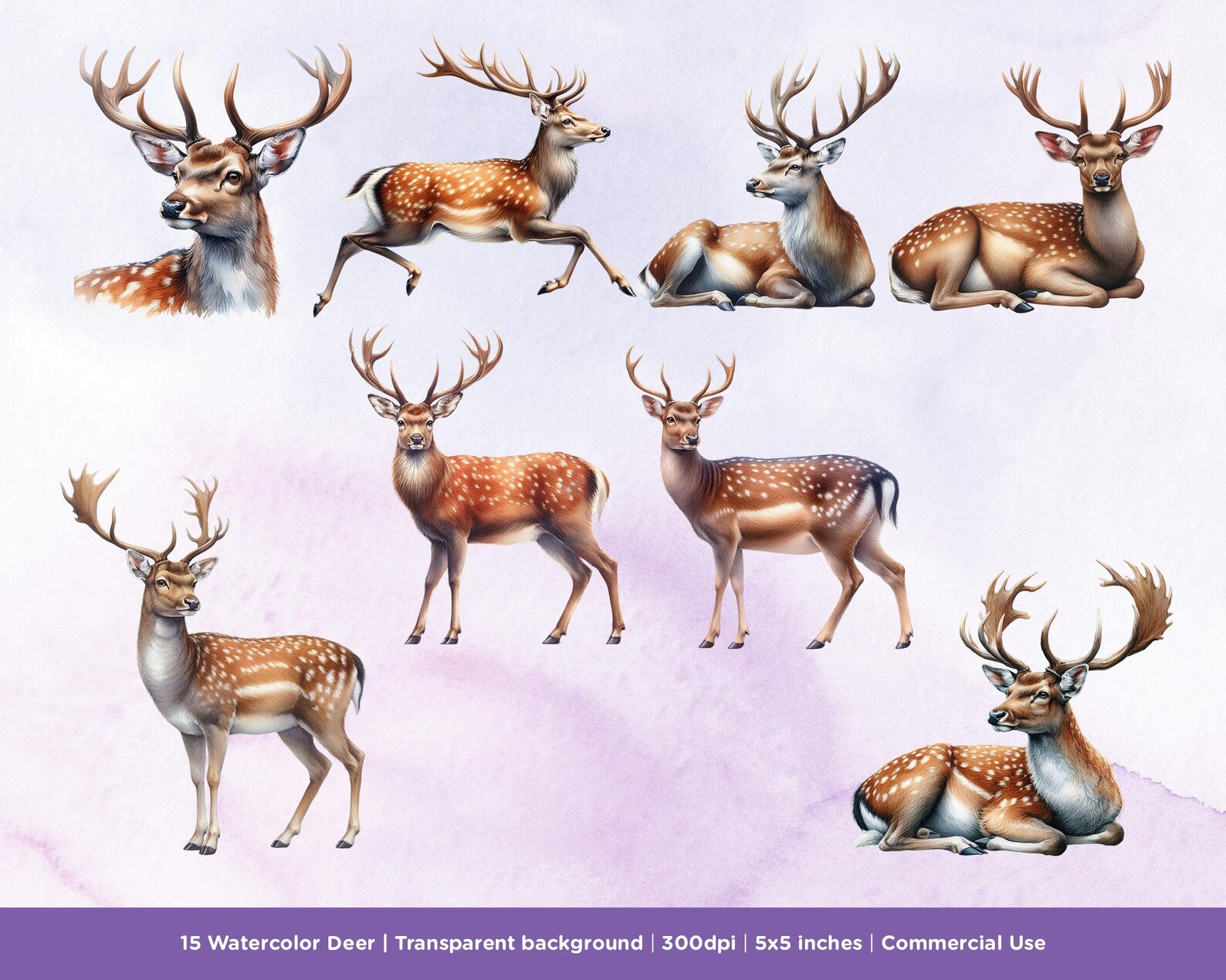 15 Watercolor Woodland Deer Clipart - Animals, Antlers, Stag, Buck ...