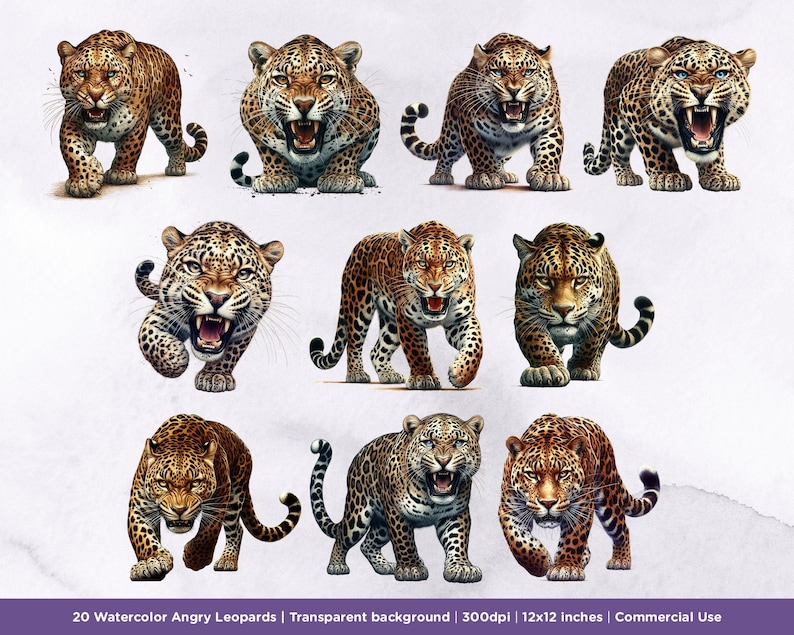20 Watercolor Angry Leopards Clipart - Fierce, Wildlife Art, Animals ...