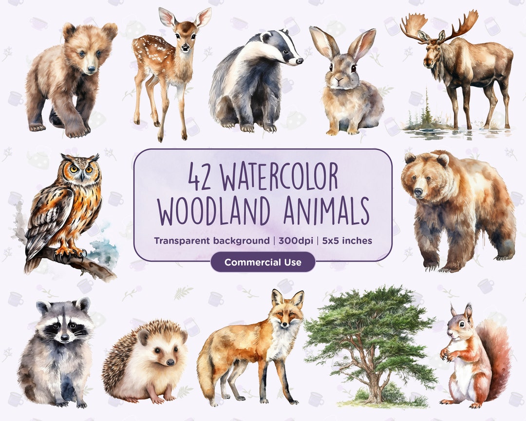 42 Watercolor Woodland Animals Clipart - Bear, Trees, Badgers, Owls ...