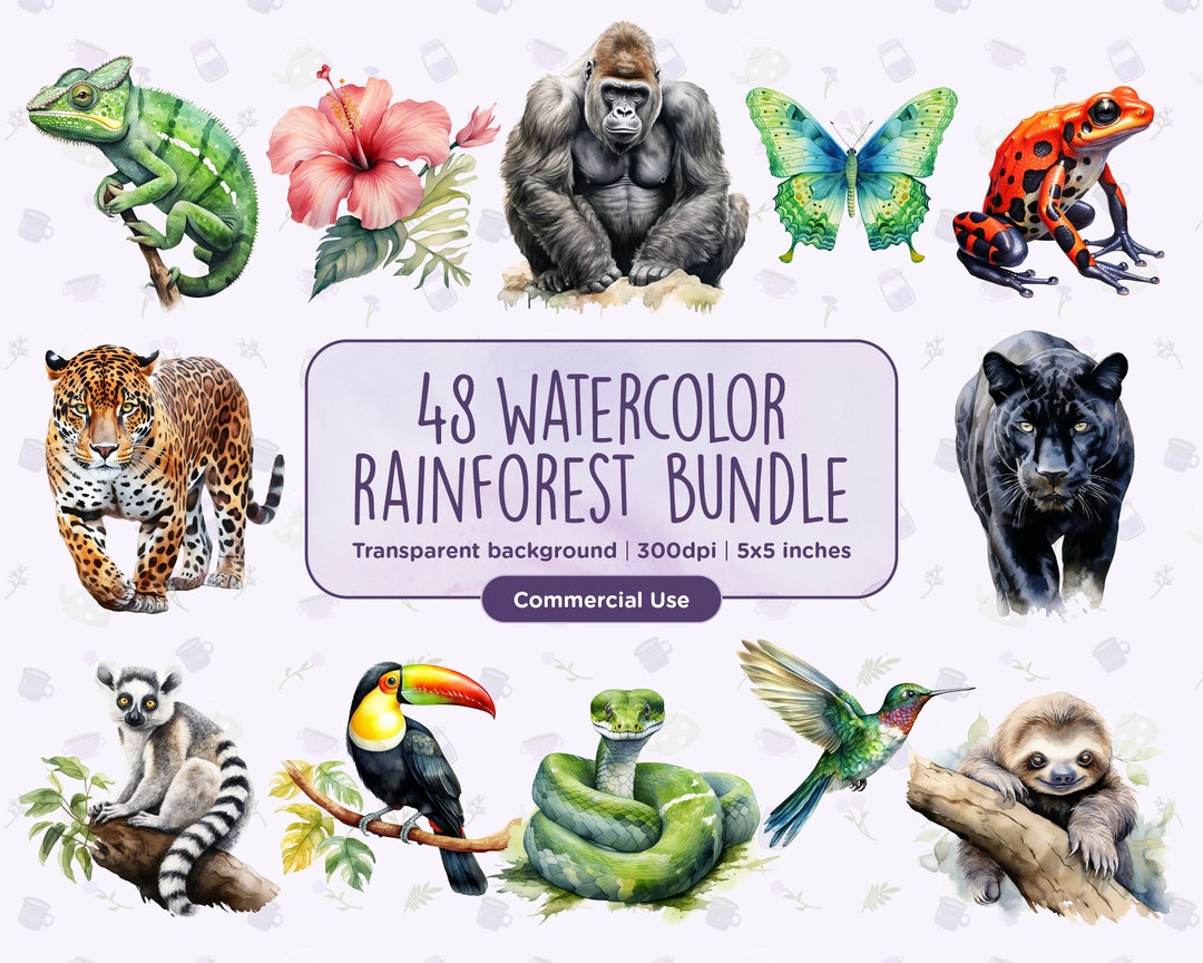 48 Watercolor Rainforest Clipart - Gorillas, Jaguars, Panthers ...