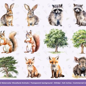 42 Watercolor Woodland Animals Clipart - Bear, Trees, Badgers, Owls ...