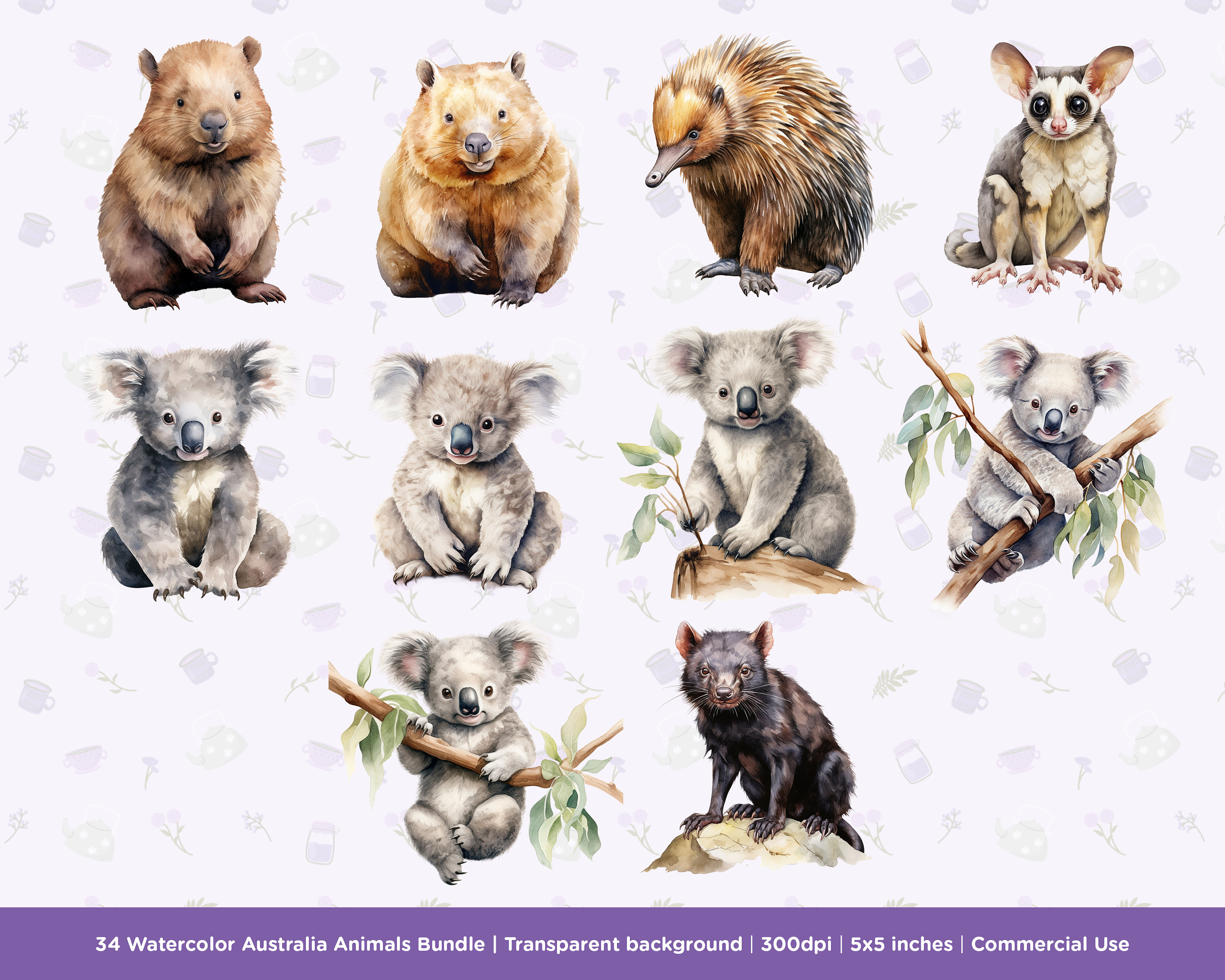 34 Watercolor Australia Animals Clipart - Kangaroos, Koala, Crocodile ...