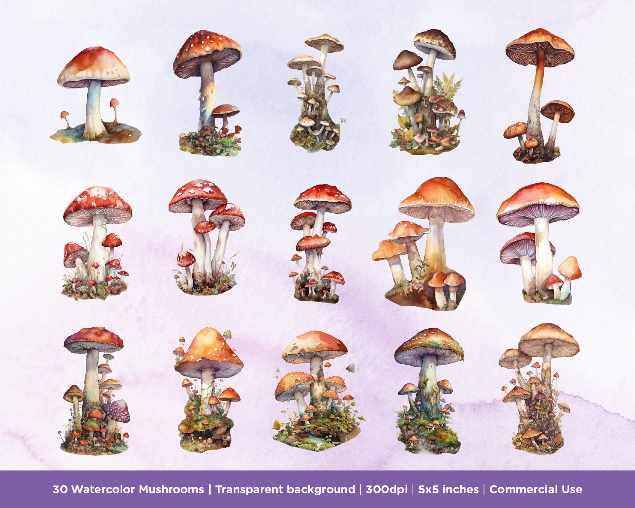 30 Watercolor Mushrooms Clipart - Magical Enchanted Forest Mushrooms ...