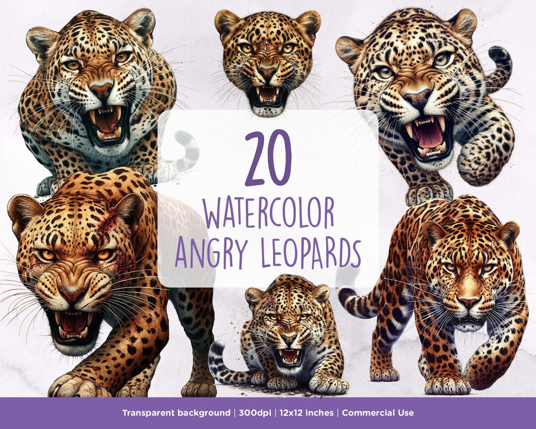20 Watercolor Angry Leopards Clipart - Fierce, Wildlife Art, Animals ...