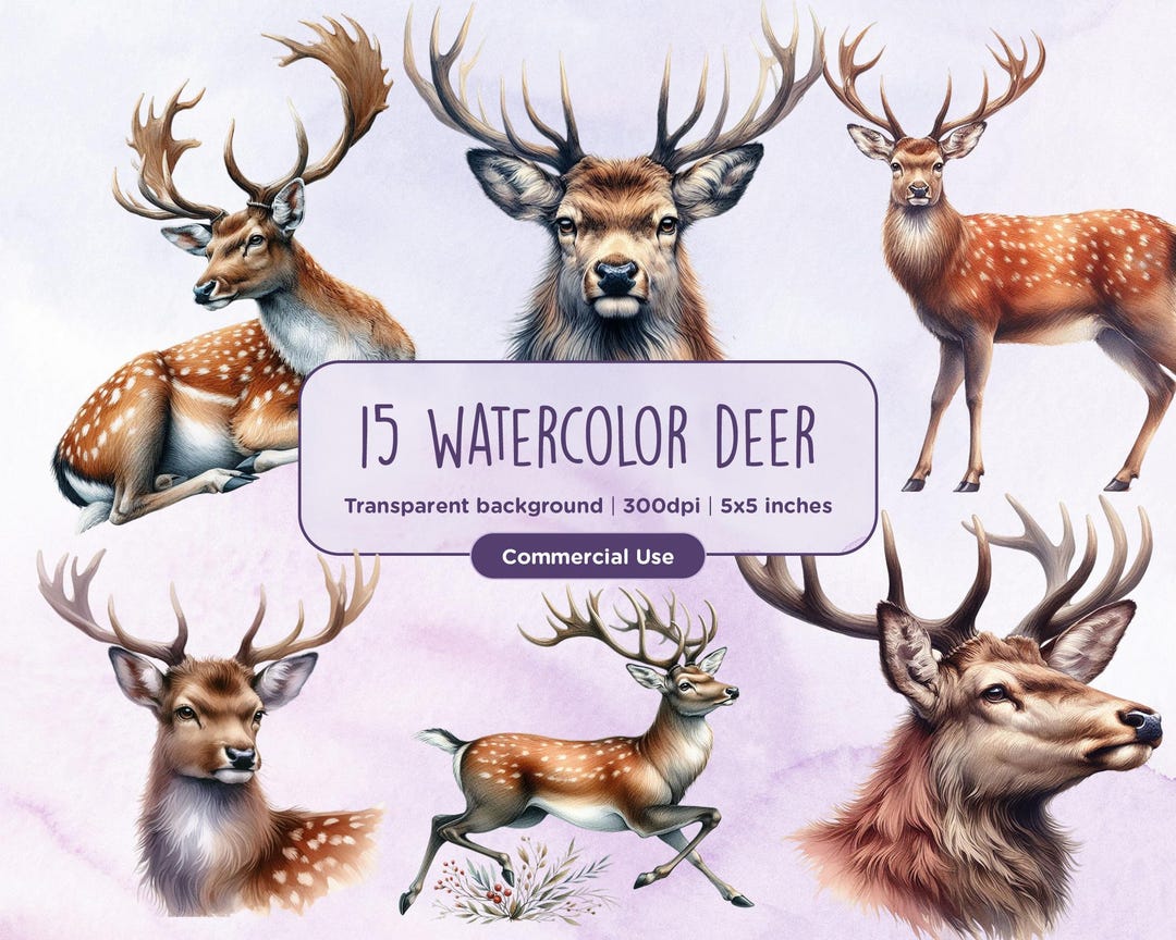 15 Watercolor Woodland Deer Clipart - Animals, Antlers, Stag, Buck ...