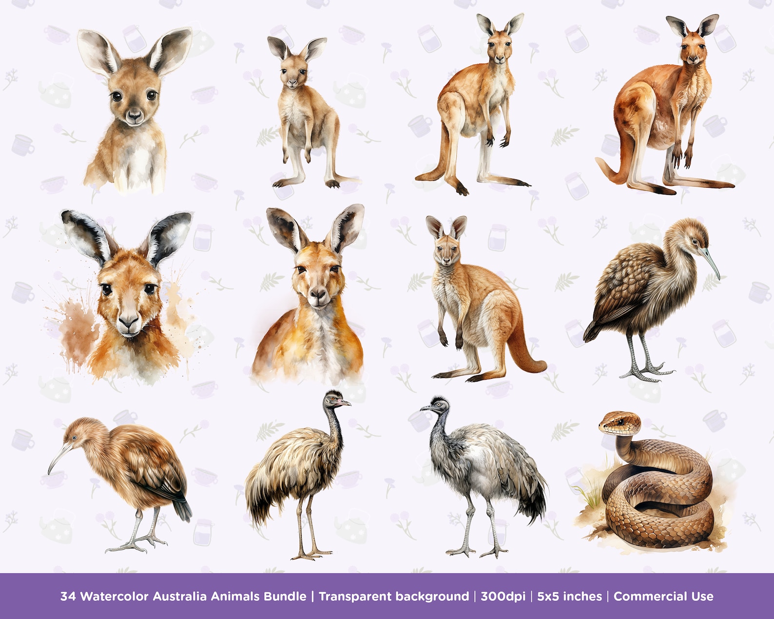 34 Watercolor Australia Animals Clipart - Kangaroos, Koala, Crocodile ...