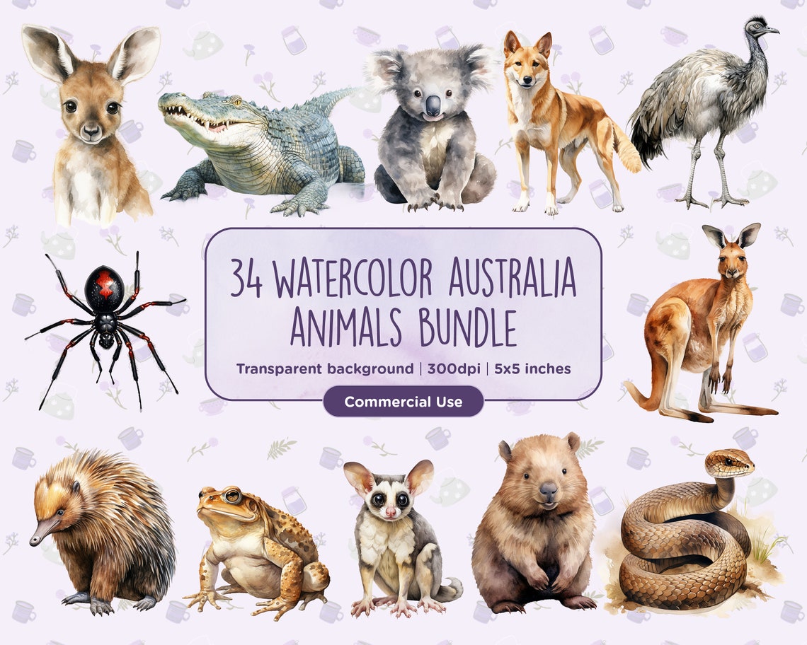 34 Watercolor Australia Animals Clipart - Kangaroos, Koala, Crocodile ...