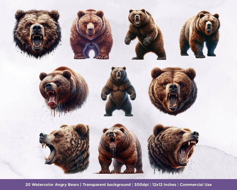 20 Watercolor Angry Bears Clipart - Fierce, Wildlife Art, Animals ...