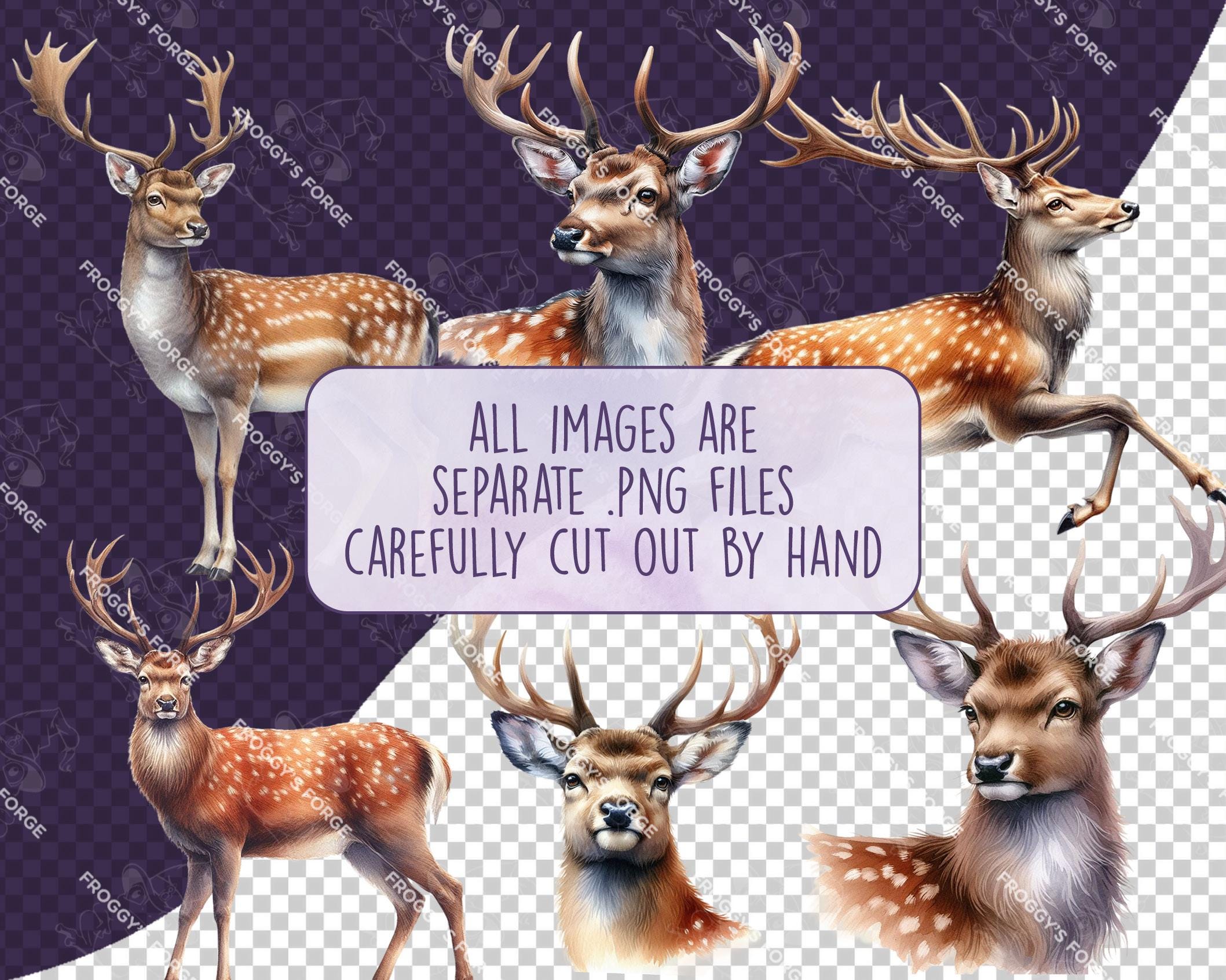 15 Watercolor Woodland Deer Clipart - Animals, Antlers, Stag, Buck ...