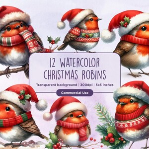 12 Watercolor Christmas Robins Clipart - PNG Winter Clipart PNG Santa ...