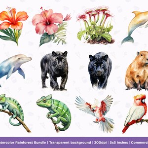 48 Watercolor Rainforest Clipart - Gorillas, Jaguars, Panthers ...