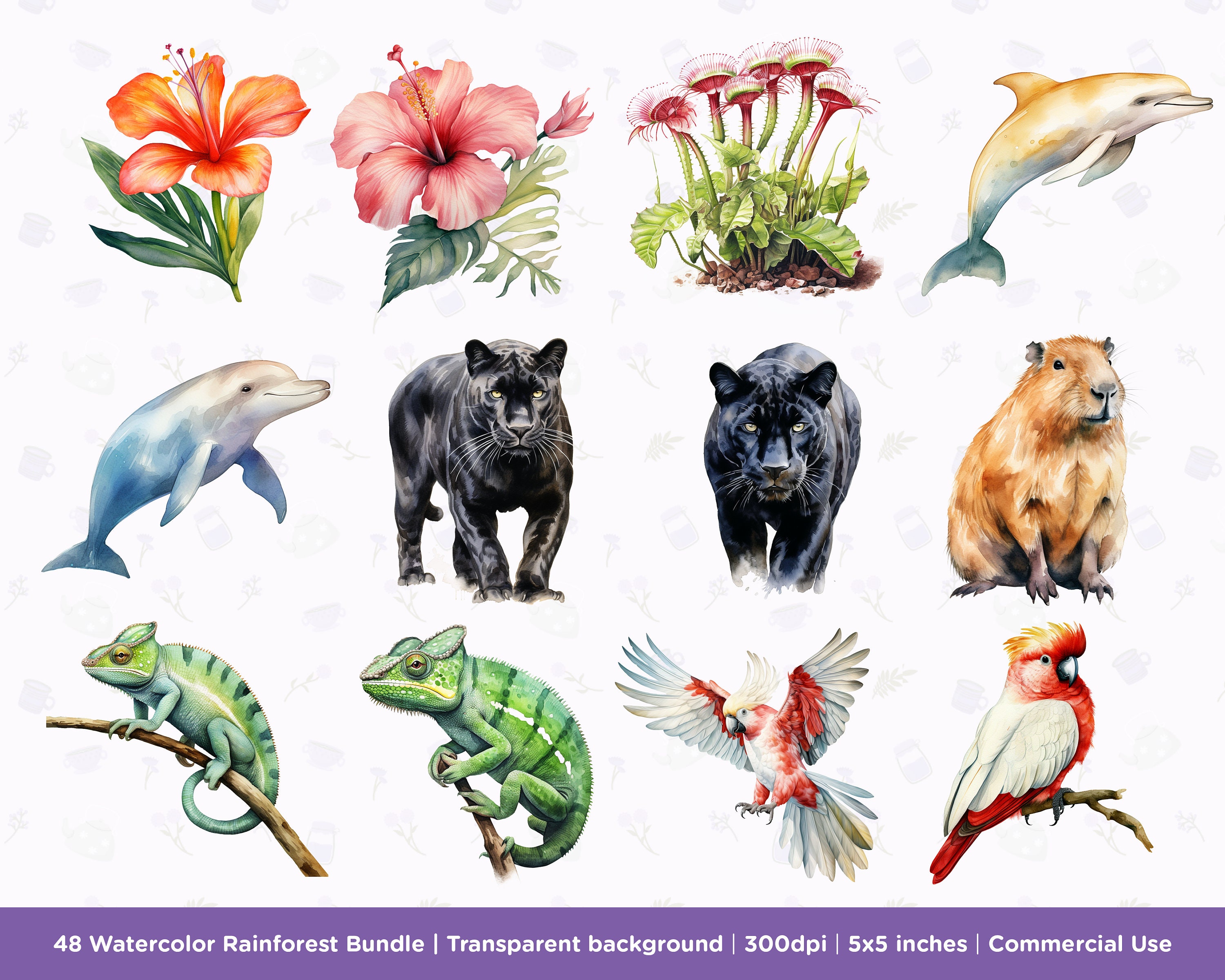 48 Watercolor Rainforest Clipart - Gorillas, Jaguars, Panthers ...