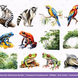 48 Watercolor Rainforest Clipart - Gorillas, Jaguars, Panthers ...
