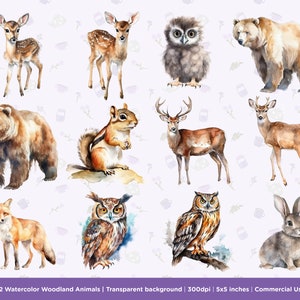 42 Watercolor Woodland Animals Clipart - Bear, Trees, Badgers, Owls ...