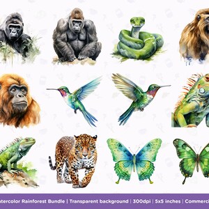 48 Watercolor Rainforest Clipart - Gorillas, Jaguars, Panthers ...