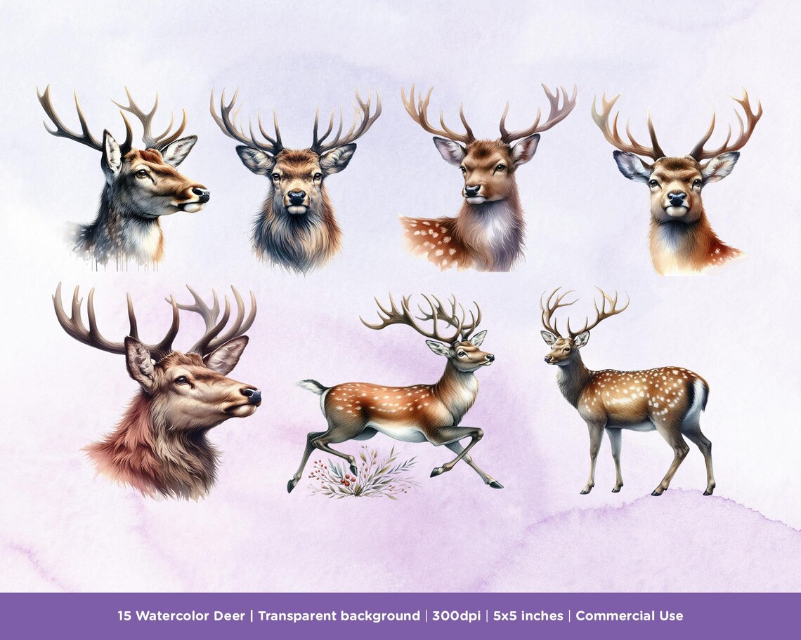 15 Watercolor Woodland Deer Clipart - Animals, Antlers, Stag, Buck ...