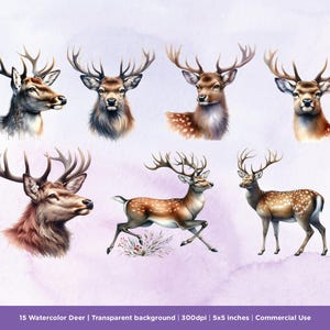 15 Watercolor Woodland Deer Clipart - Animals, Antlers, Stag, Buck ...
