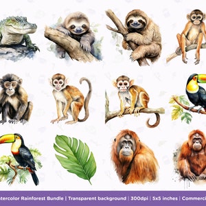 48 Watercolor Rainforest Clipart - Gorillas, Jaguars, Panthers ...