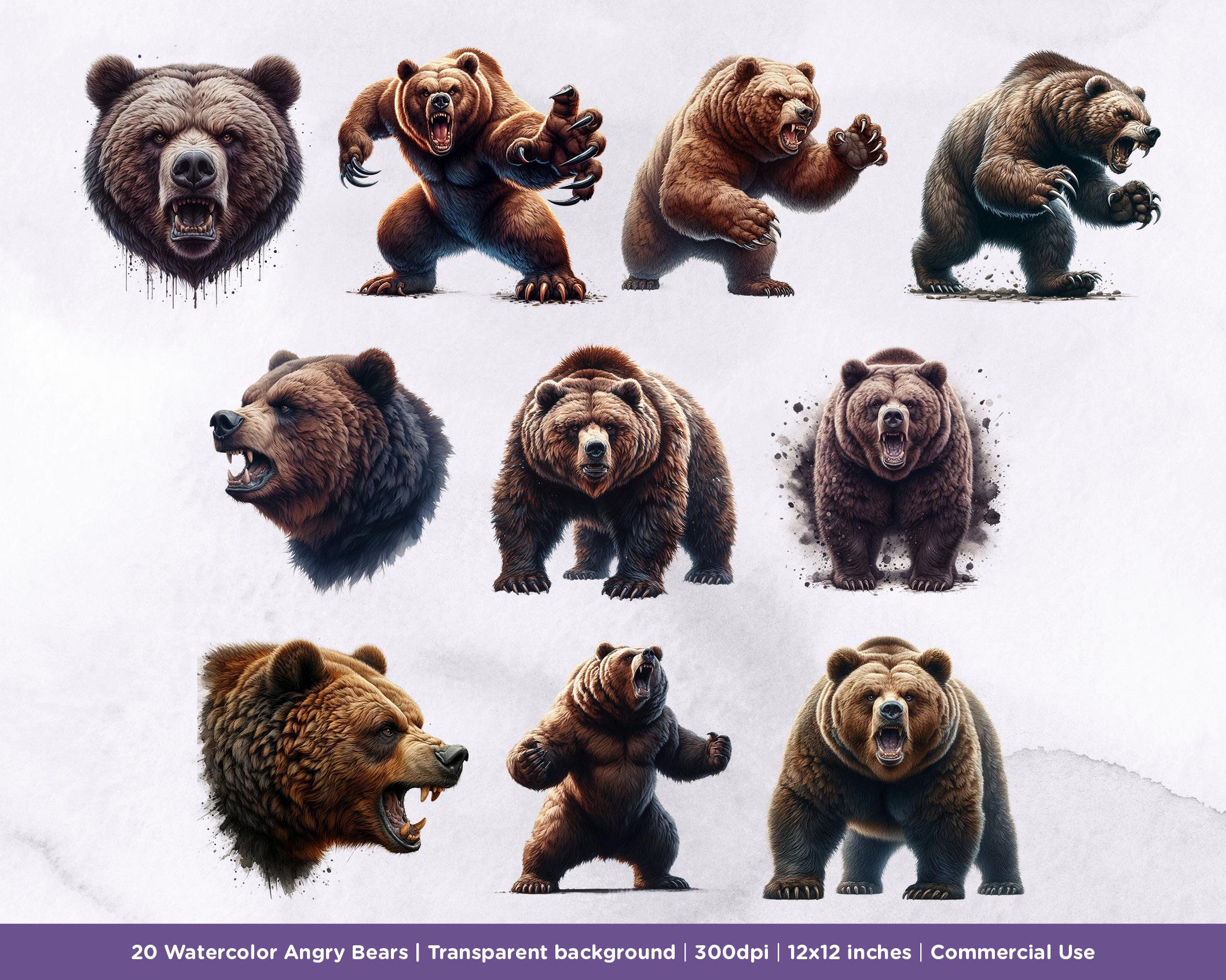 20 Watercolor Angry Bears Clipart - Fierce, Wildlife Art, Animals ...