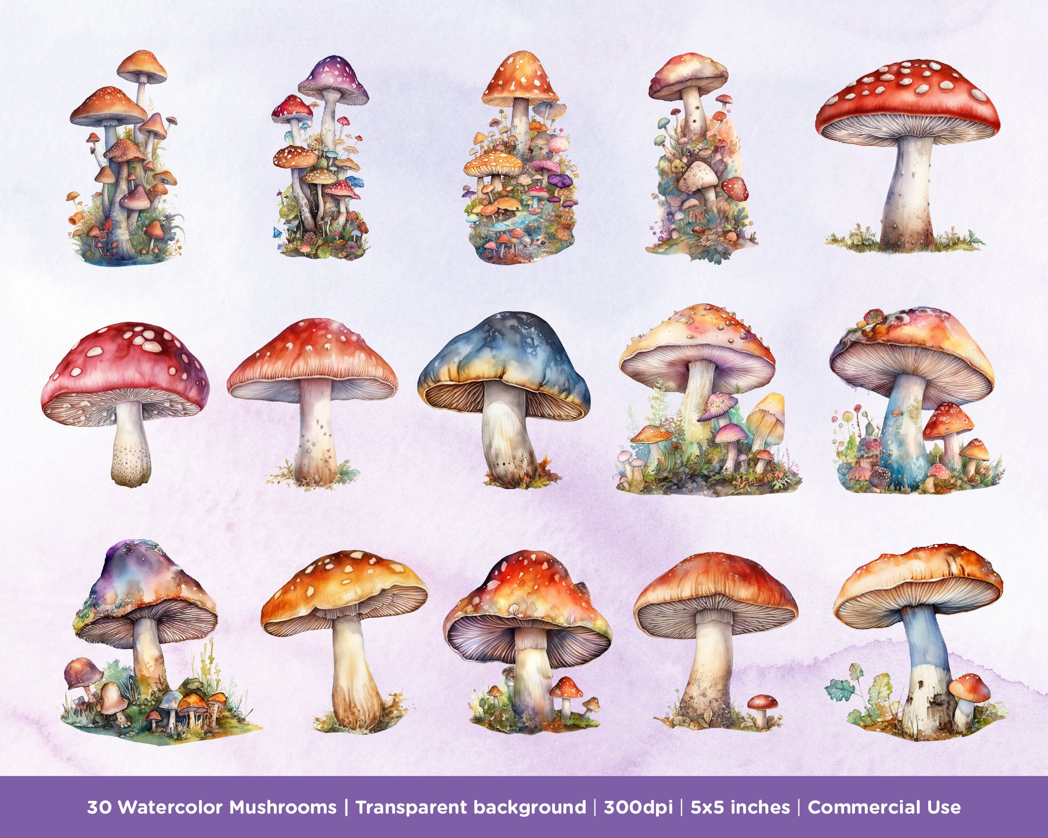 30 Watercolor Mushrooms Clipart - Magical Enchanted Forest Mushrooms ...