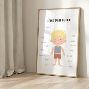 Human Body Parts Poster Körper German Educational Poster Learning ...