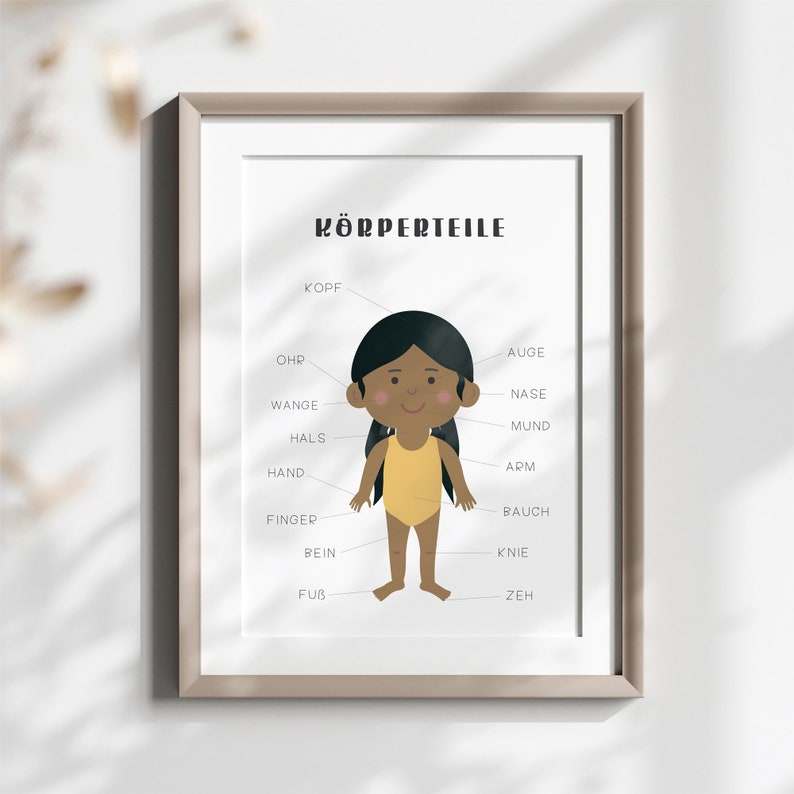 Human Body Parts Poster Körper German Educational Poster Learning ...