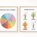 German Posters for Kids German Language Learning German for ...