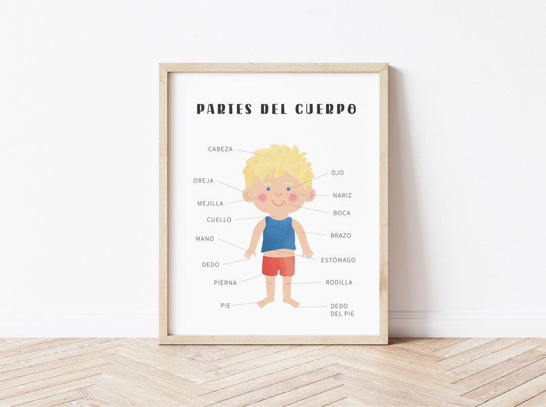 Spanish Bodyparts Poster Body Parts Spanish Educational Prints Partes ...