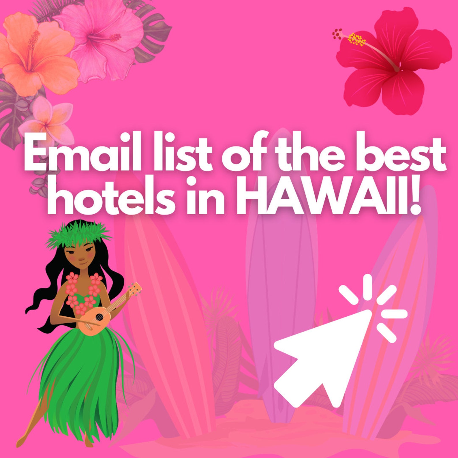 HAWAII USA Island Hotel Collaboration Email List | Travel L Contact ...