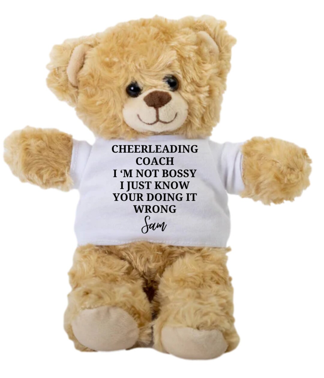 Gift for Cheerleading Coach, Personalized Teddy Bear for Cheerleader ...