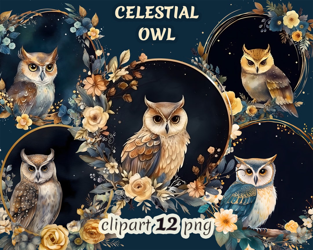 Watercolor Celestial Owl Clipart Bundle on Transparent Background, Gold ...