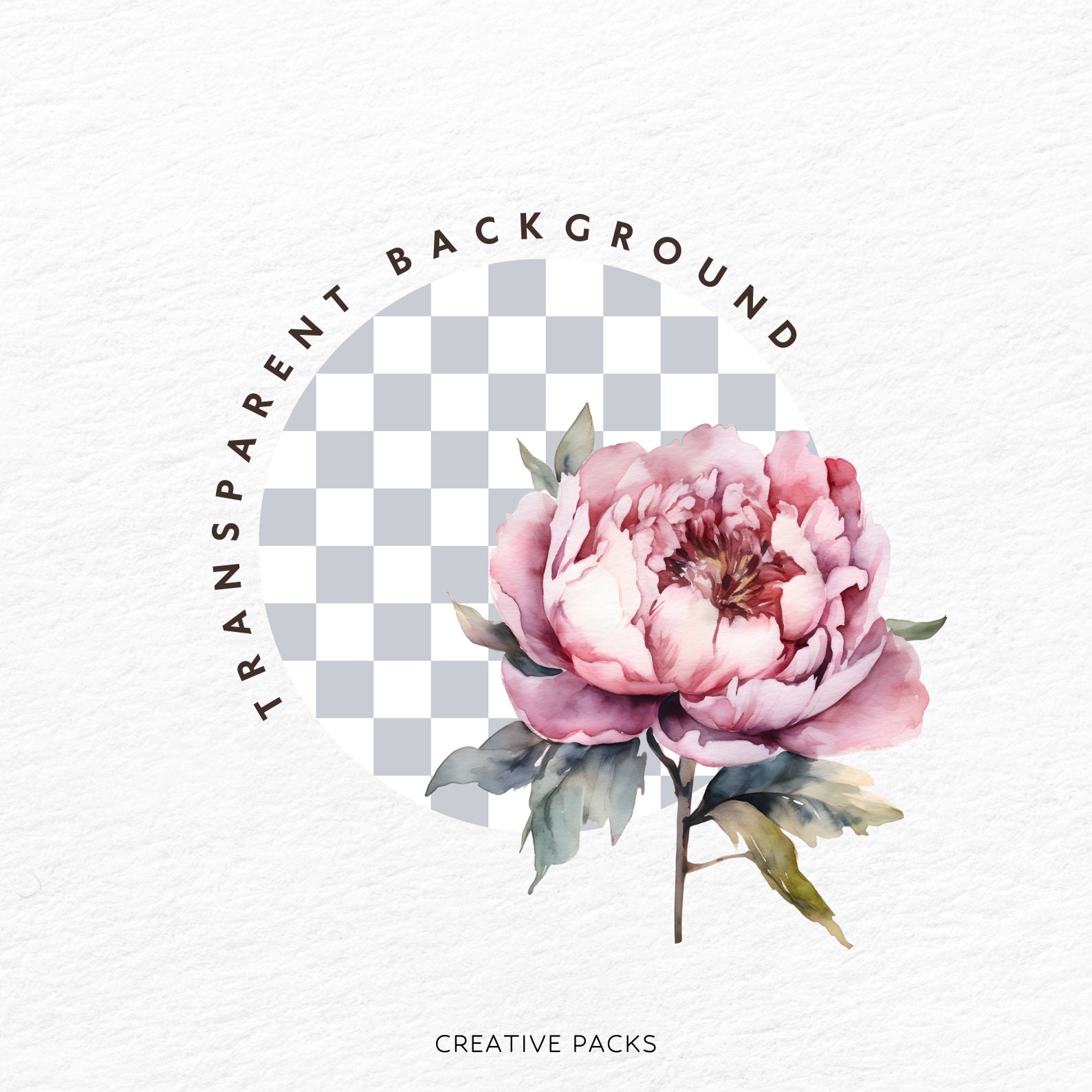 Watercolor Pink Peony Clipart PNG Instant Digital Download for ...