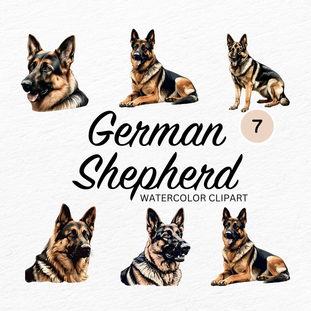 Watercolor German Shepherd Clipart - PNG Instant Digital Download for ...