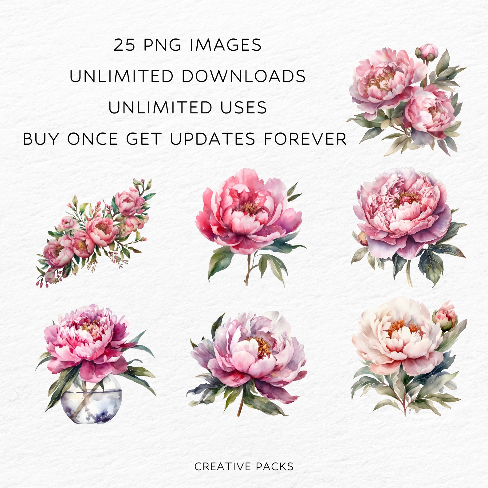 Watercolor Pink Peony Clipart PNG Instant Digital Download for ...