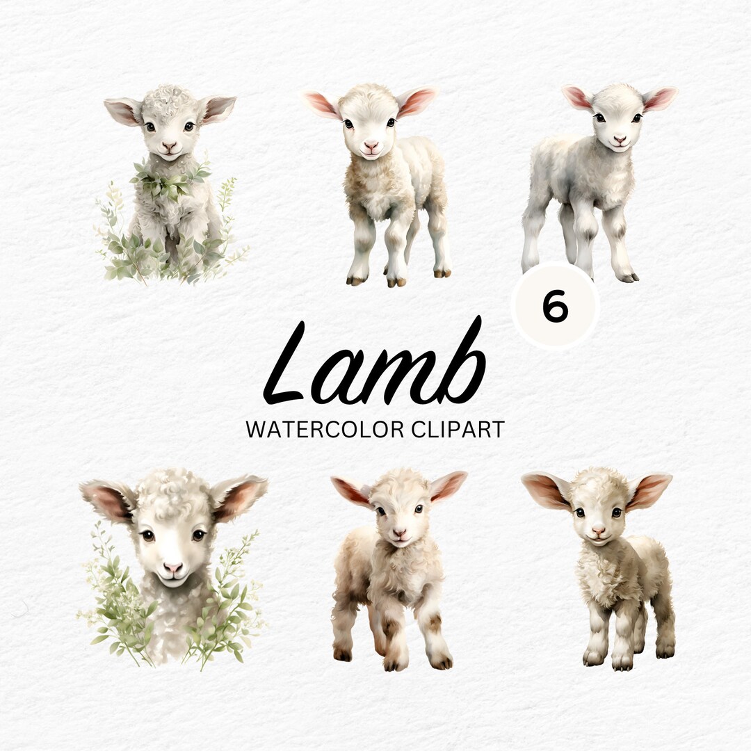 Watercolor Lamb Clipart - PNG Instant Digital Download for Commercial ...