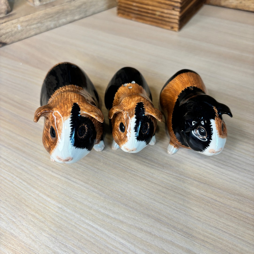 Guinea Pig Salt and Pepper Shakers WITH a Third Decorative Friend ...