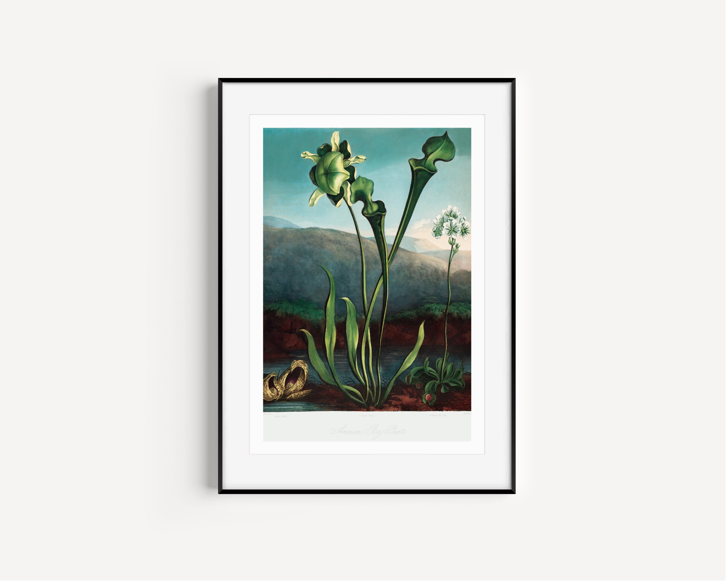 Set of 12 Famous Flower Art Prints Digital Download, Printable Art Set ...