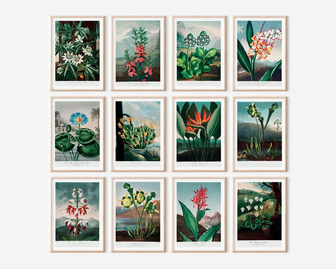 Set of 12 Famous Flower Art Prints Digital Download, Printable Art Set ...