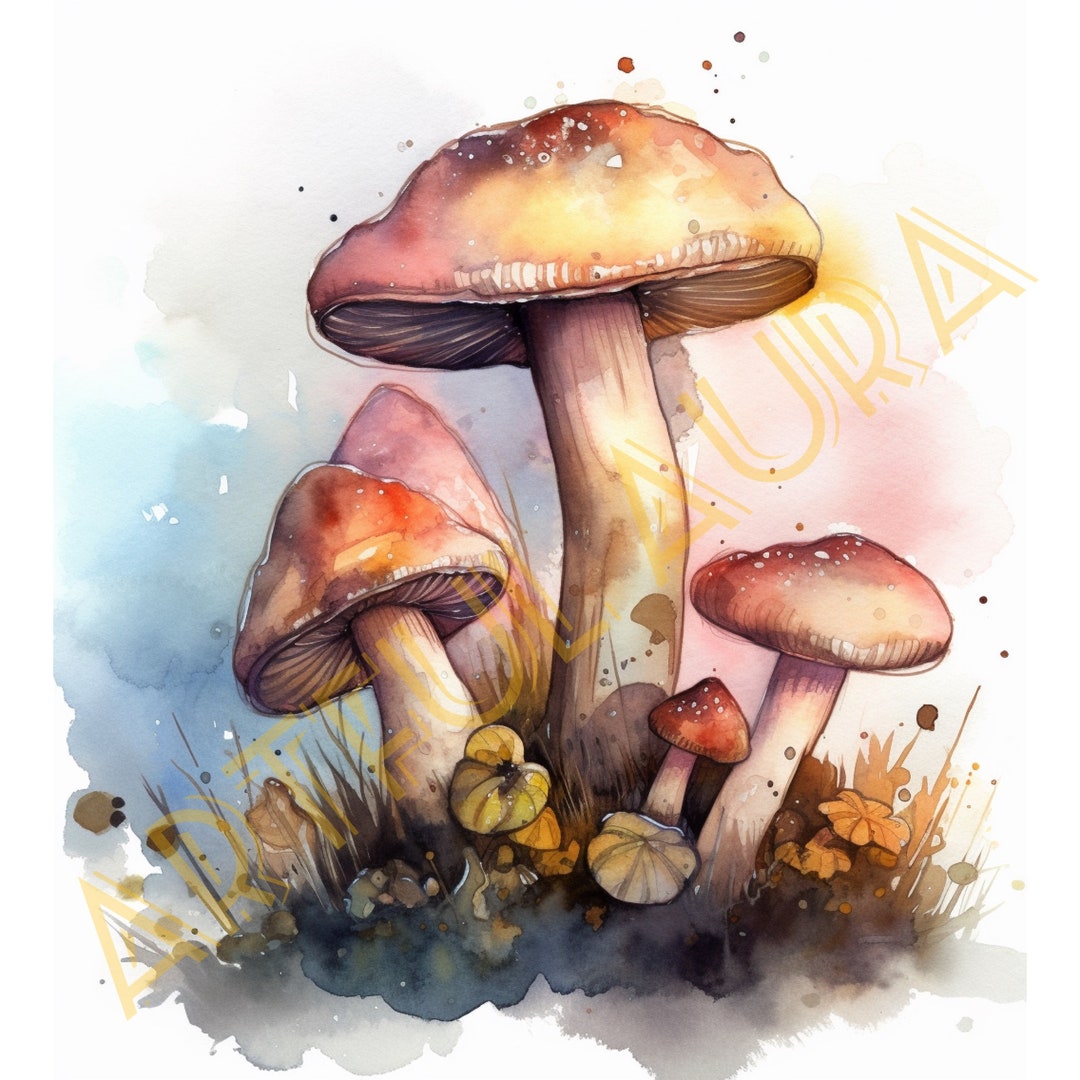 12x Watercolour Mushrooms Print Hi-res PNG - Etsy