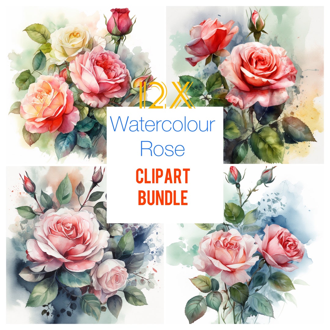 12x Watercolour Rose Clipart Bundle - Etsy