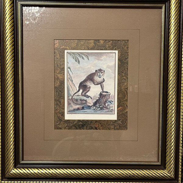 Monkey Picture Frame - Etsy