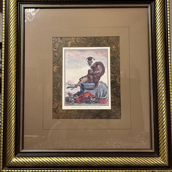 Monkey Picture Frame - Etsy