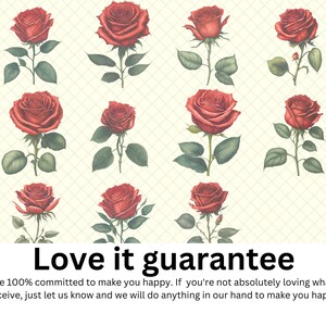 Red Rose With Vines Transparent Background Png Bundle 11 Premium Images ...