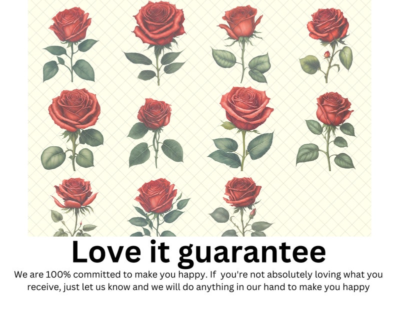 Red Rose With Vines Transparent Background Png Bundle 11 Premium Images ...