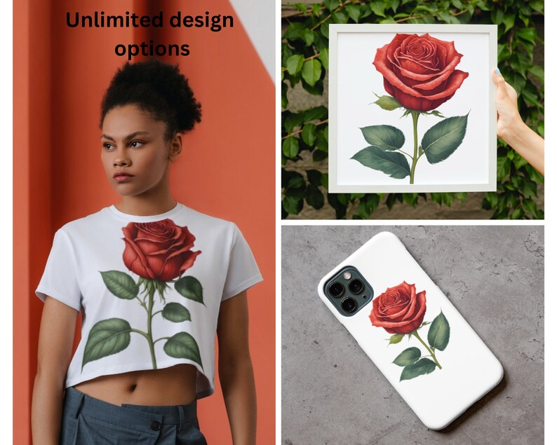 Red Rose With Vines Transparent Background Png Bundle 11 Premium Images ...