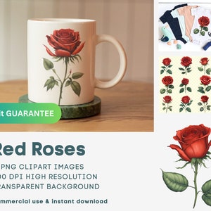 Red Rose With Vines Transparent Background Png Bundle 11 Premium Images ...