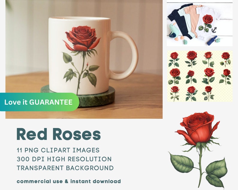 Red Rose With Vines Transparent Background Png Bundle 11 Premium Images ...