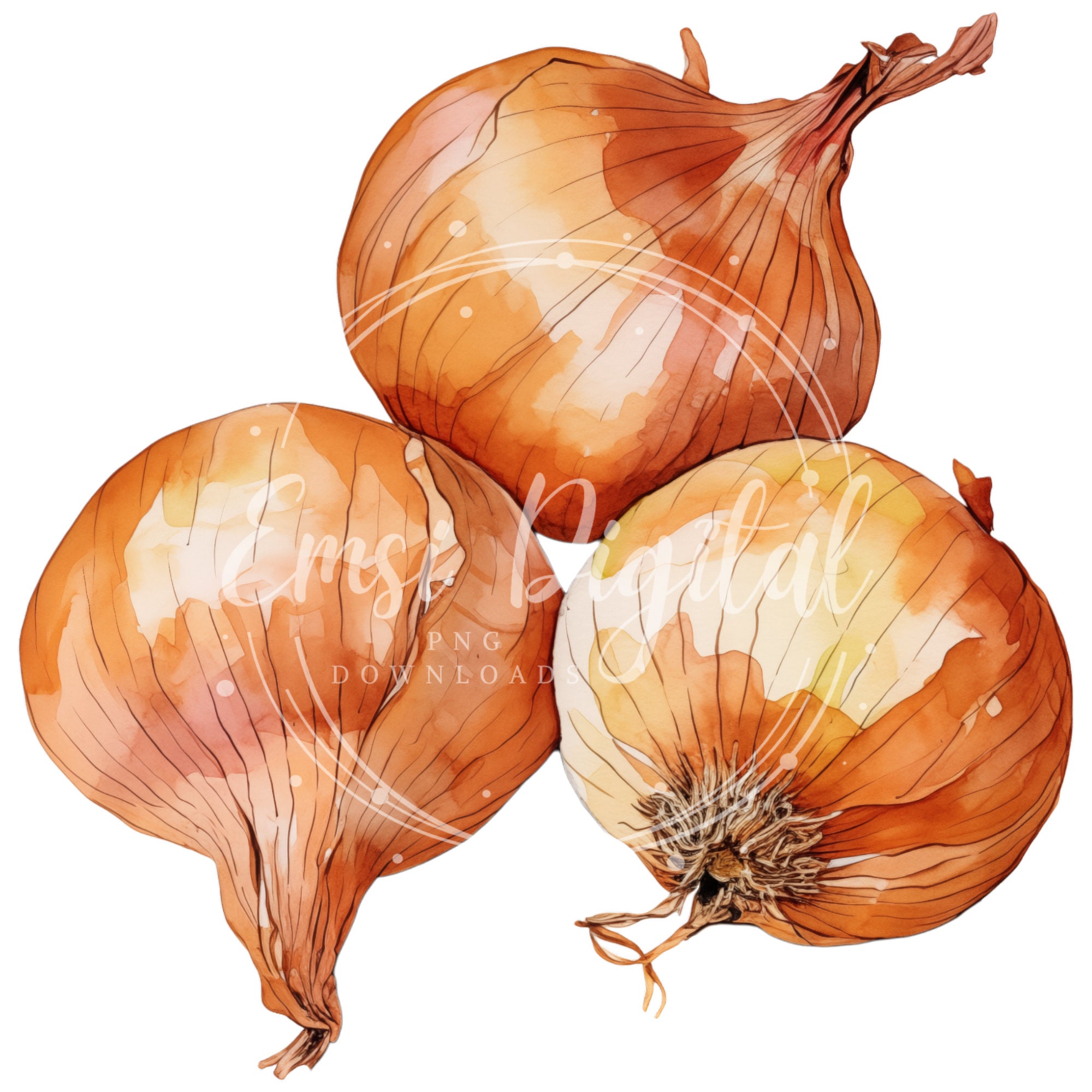 Vegetable Clipart Transparent PNG High-quality Watercolor Illustration ...